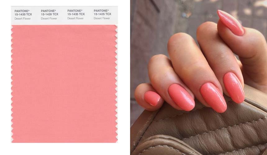PANTONE-15-1435 TCX Desert Flower-модні відтінки манікюру 2024 ...
