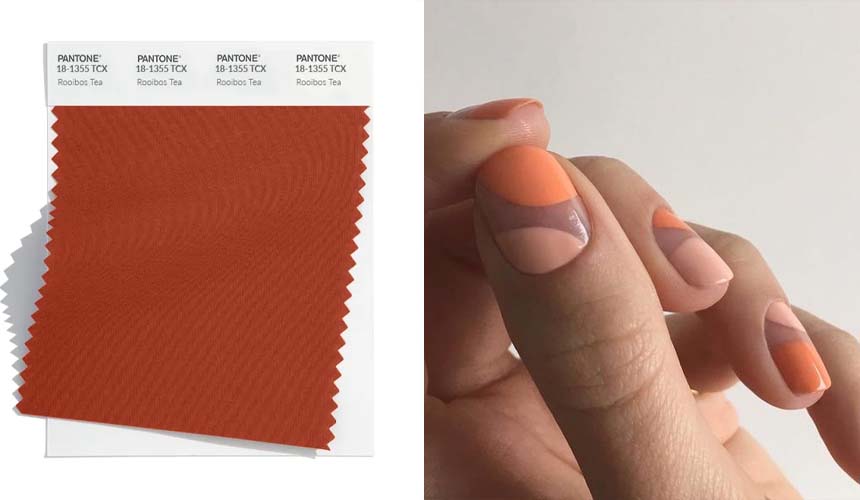 PANTONE - 18-1355 TCX Rooibos tea-модные оттенки маникюра 2024 ...